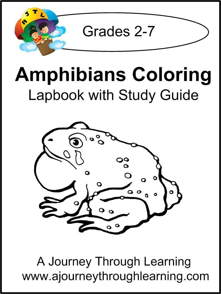 amphibian coloring pages